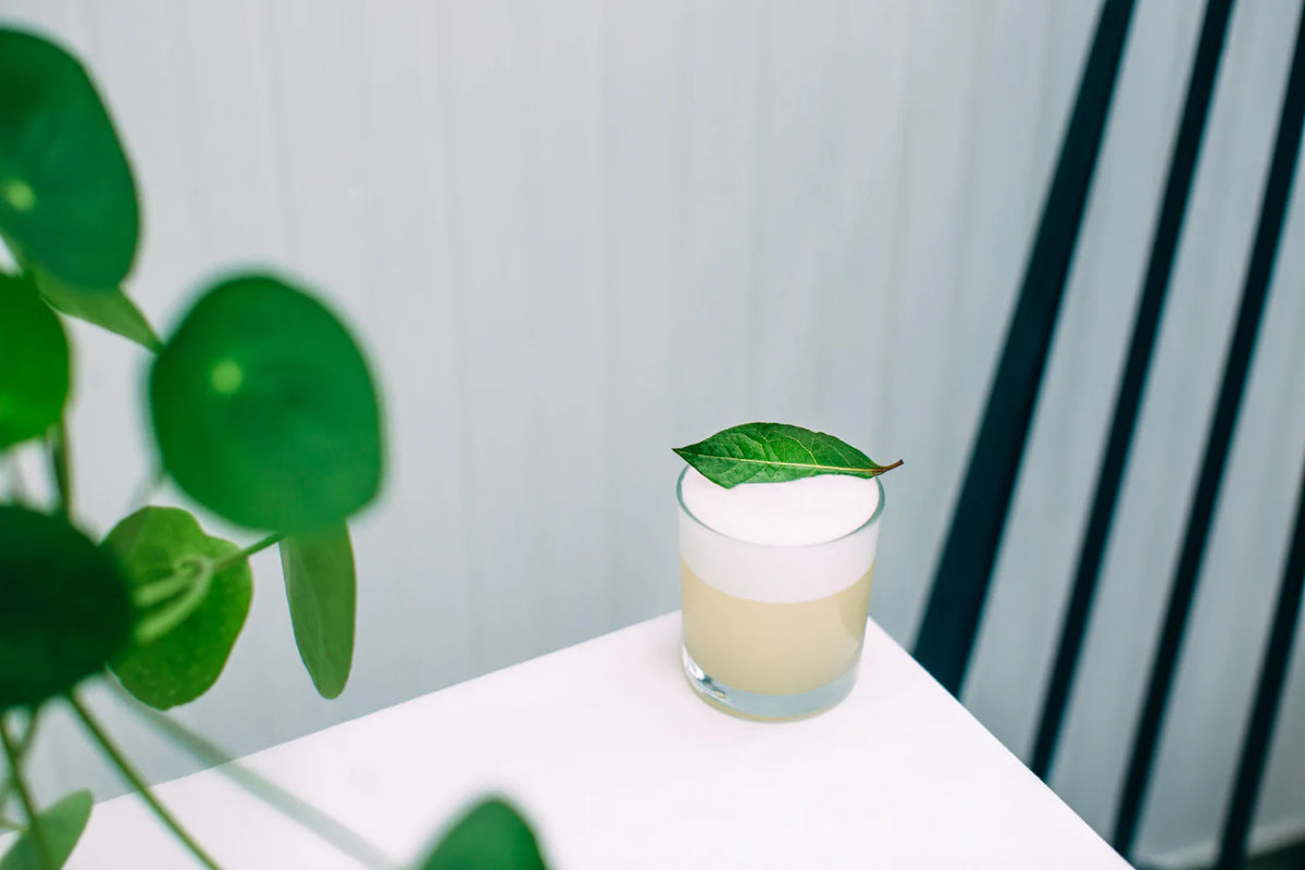 Pentire Adrift | Alcohol-Free Sea Sour