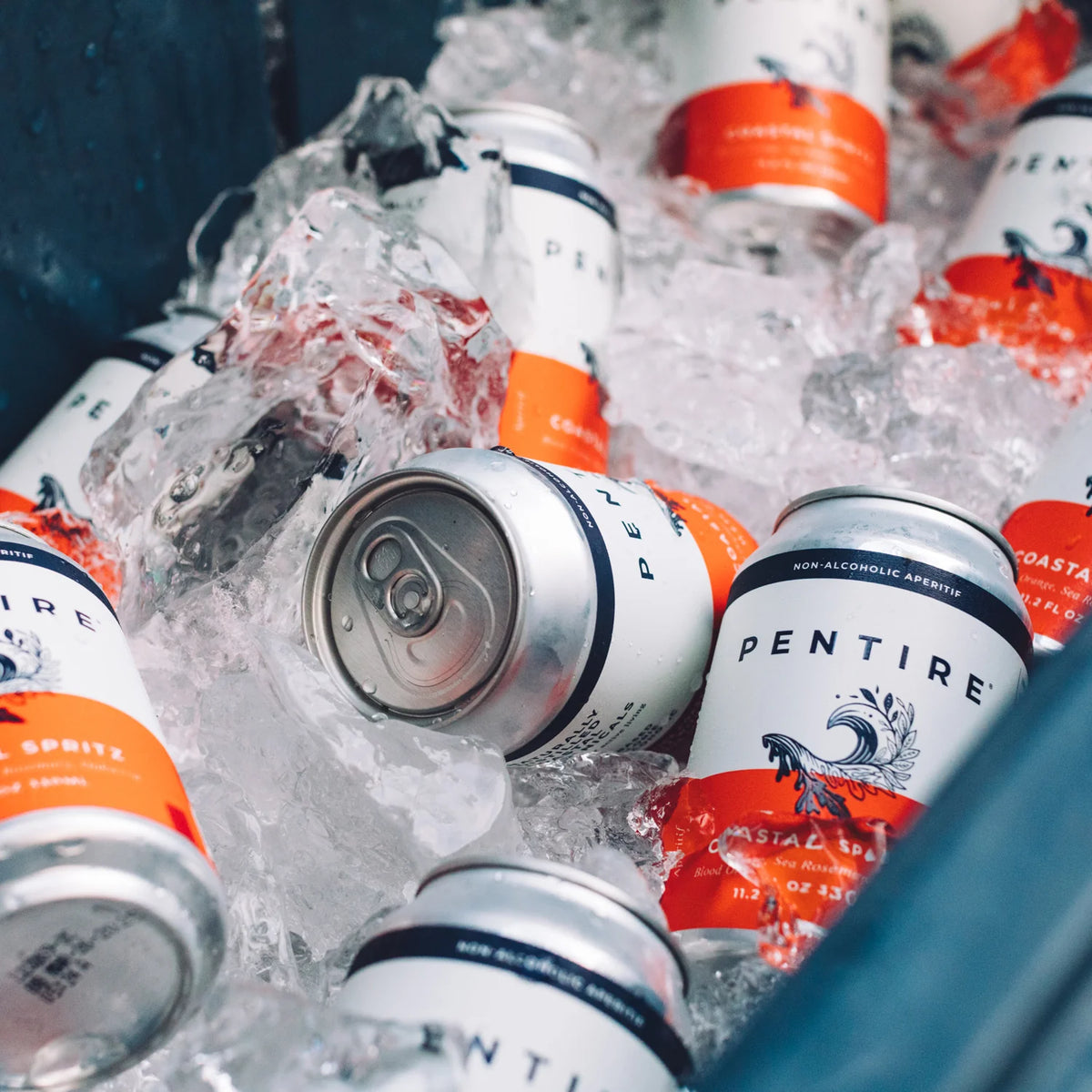 Pentire Coastal Spritz Alcohol-Free Cans 330ml I Alcohol-Free